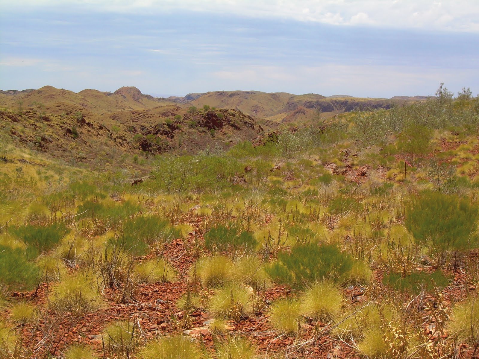 YMAC – NAIDOC profile: the Pilbara pastoral workers’ strike