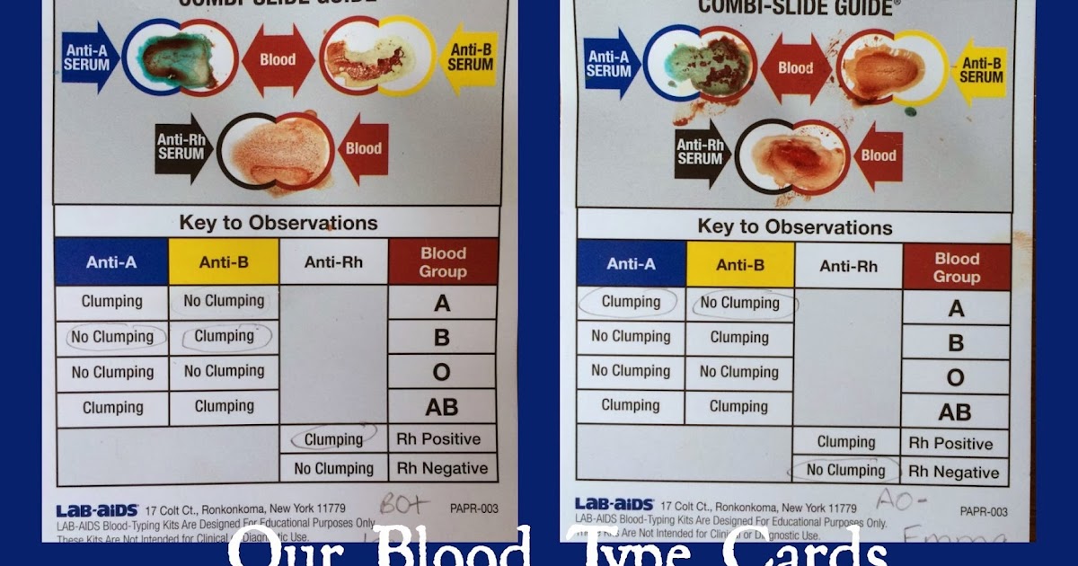 Acorn Hill Academy: What's Your Blood Type?