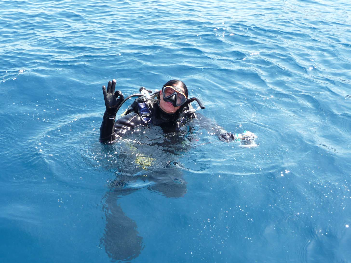 ESCUELA DE BUCEO EN BENIDORM, ALICANTE, VALENCIA Y MADRID: Dive Master