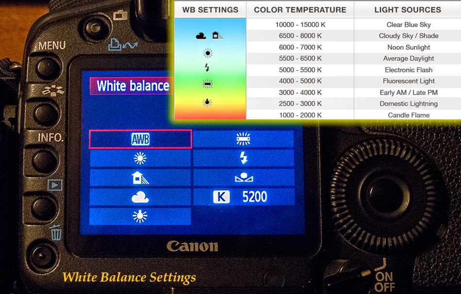 Digital Camera Settings White Balance at Justin Finn blog