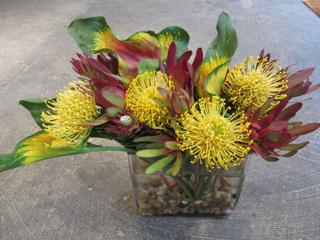 Sammy s Flowers Long Lasting Flowers sammy-s-flowers-long-lasting-flowers