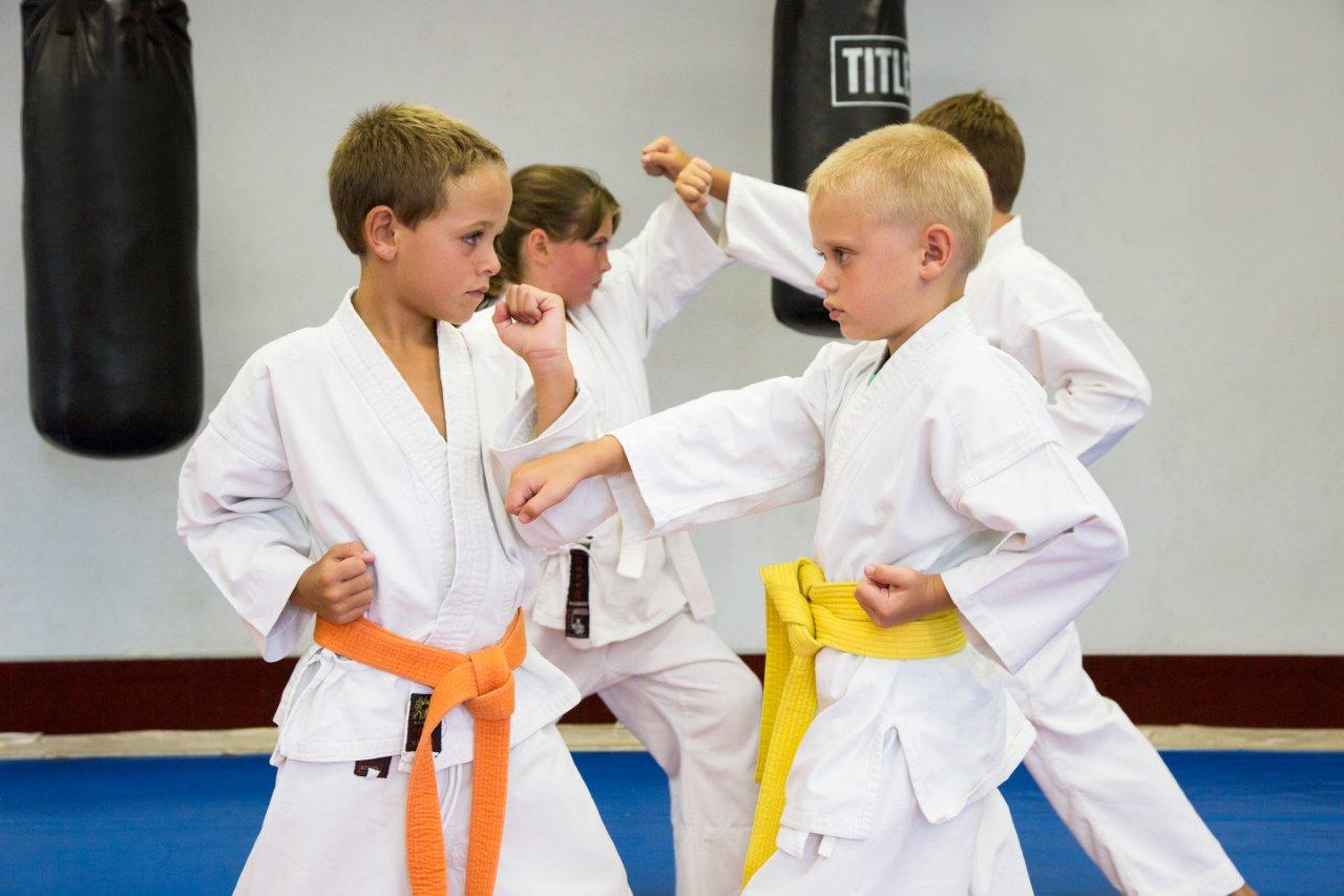 JKS Karate South Africa Kick Start Your Child s Development With Karate jks-karate-south-africa-kick-start-your-child-s-development-with-karate