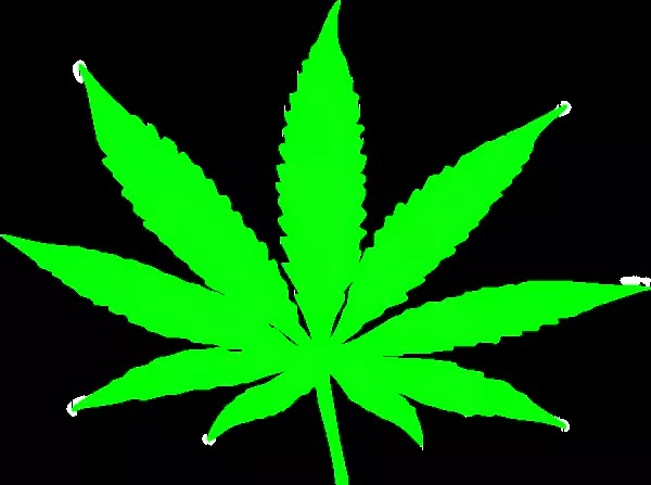 Columbia woman among those cheering passage of medical marijuana bill ... Columbia woman among those cheering passage of medical marijuana bill ...