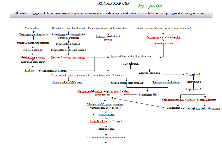 Pathway CHF (gagal jantung kongestif)