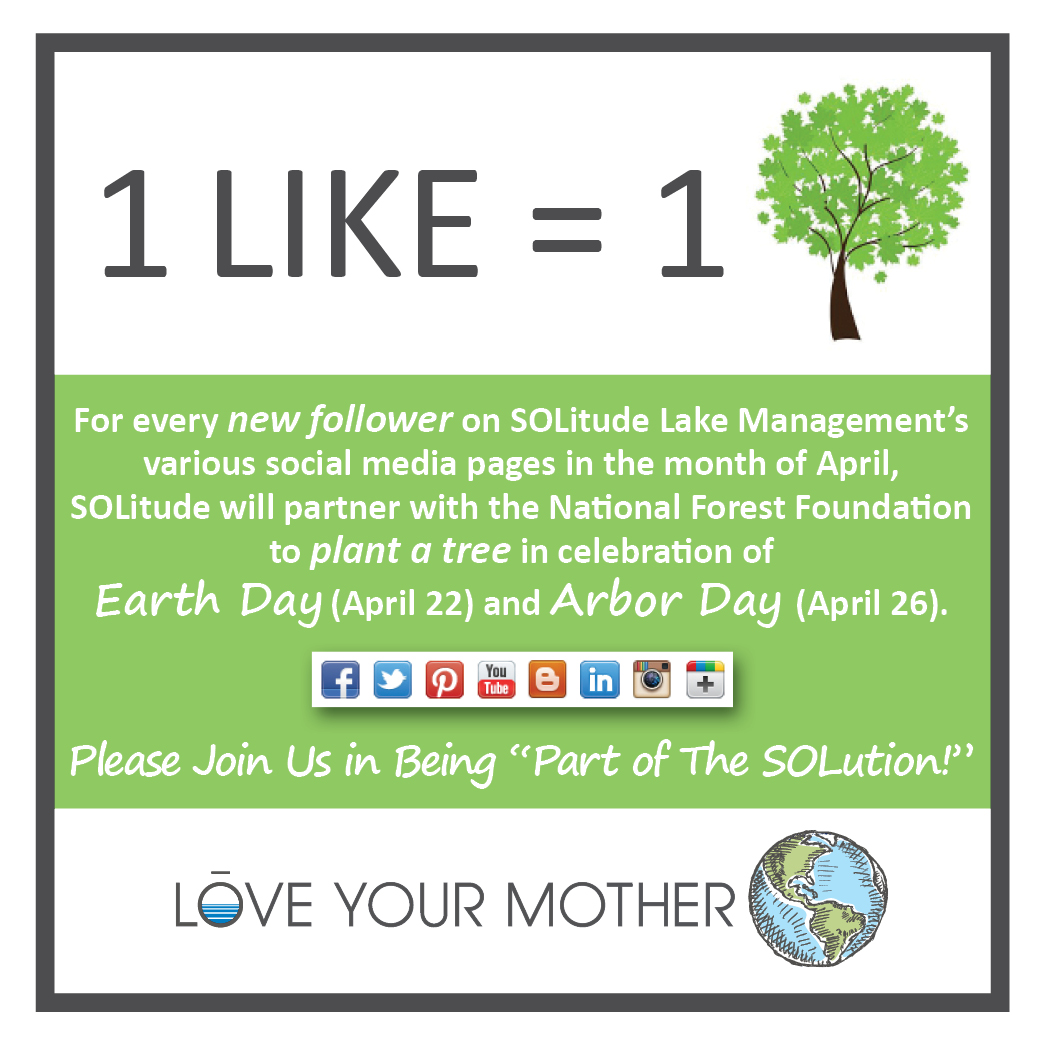 Planting Trees To Celebrate Earth Day And Arbor Day