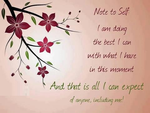 NOTE TO SELF: I am doing the best i can with what i have in the moment ...
