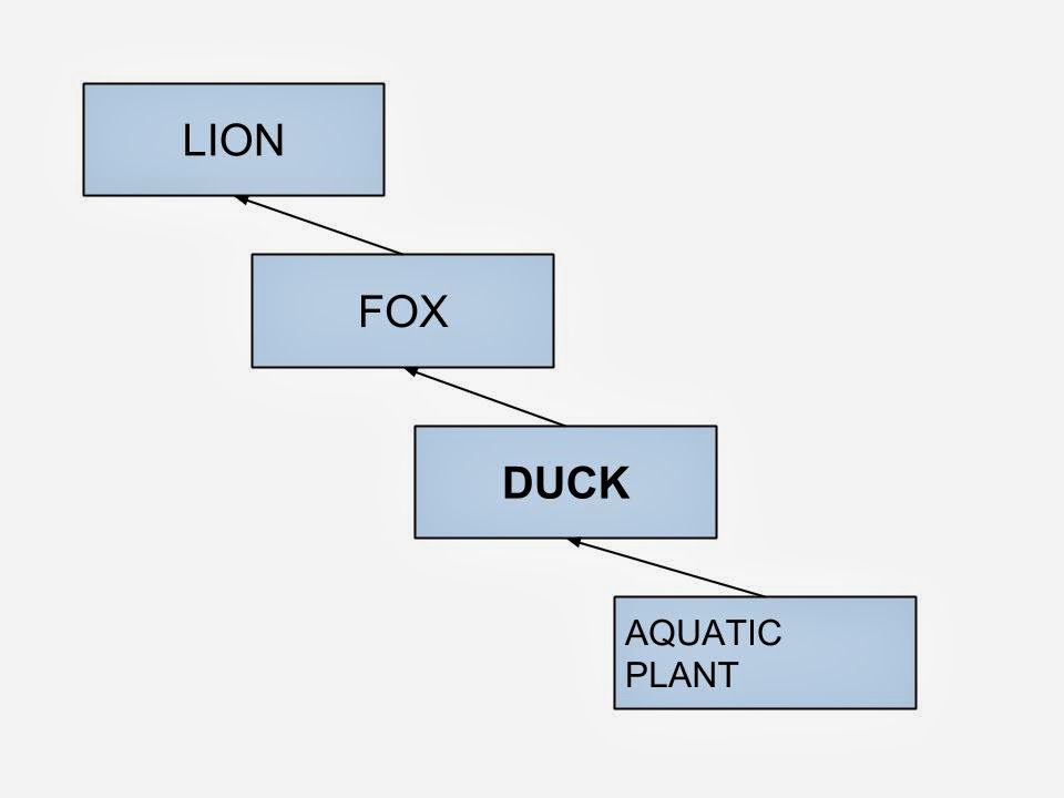 bio diversity: science project