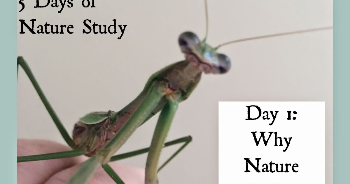 Acorn Hill Academy: Why Do Nature Study?