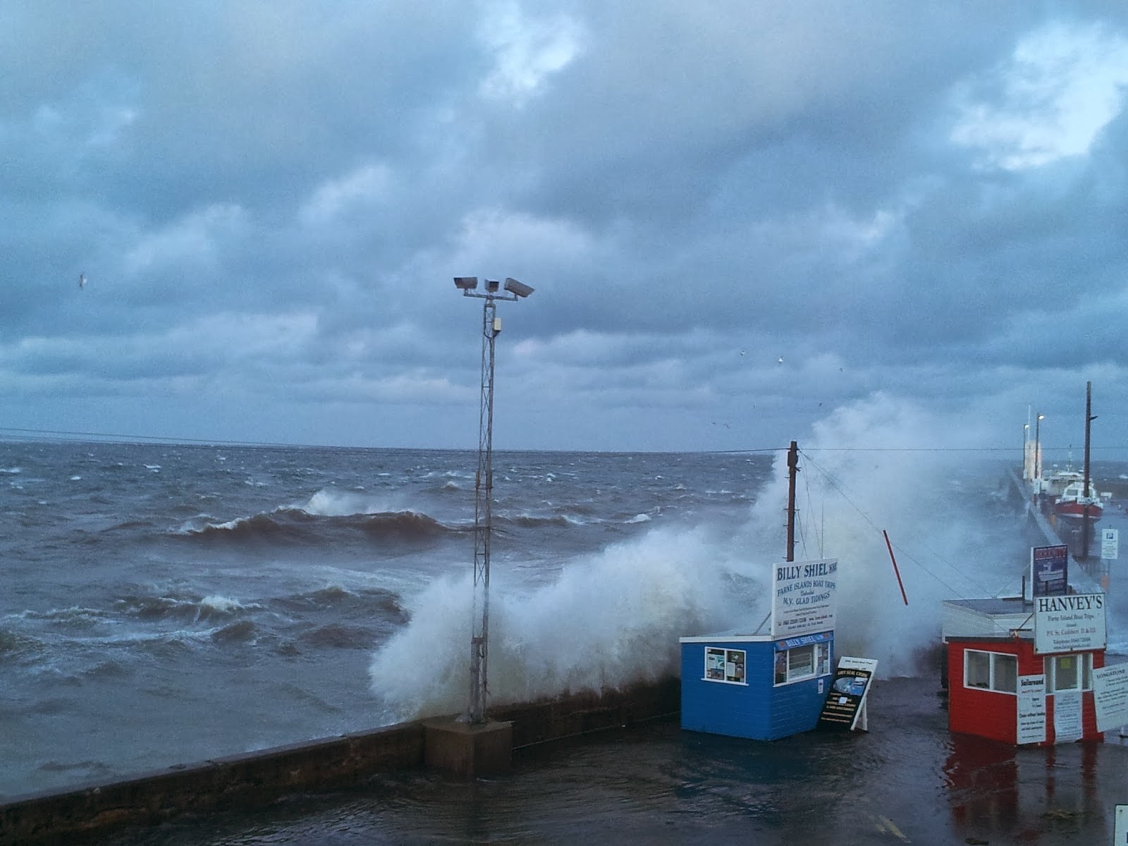 Seahouses Storm - Serenity Farne Islands Boat Tours and Trips