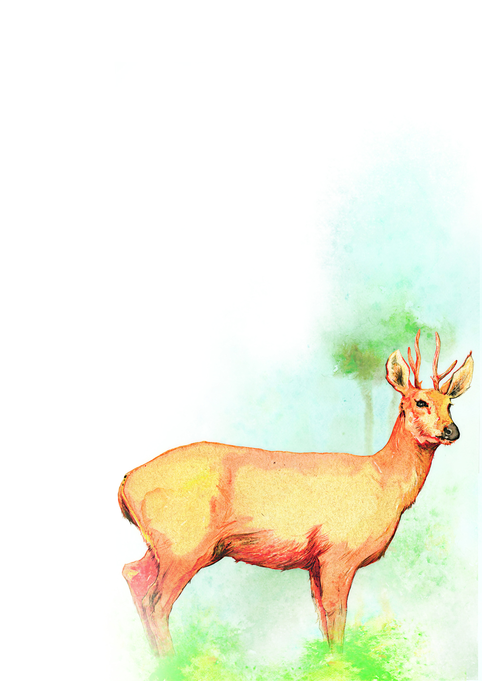 Victor-Abarca-Ilustraciones: EL HUEMUL REGRESA A HUILO HUILO INFOGRAPHIC