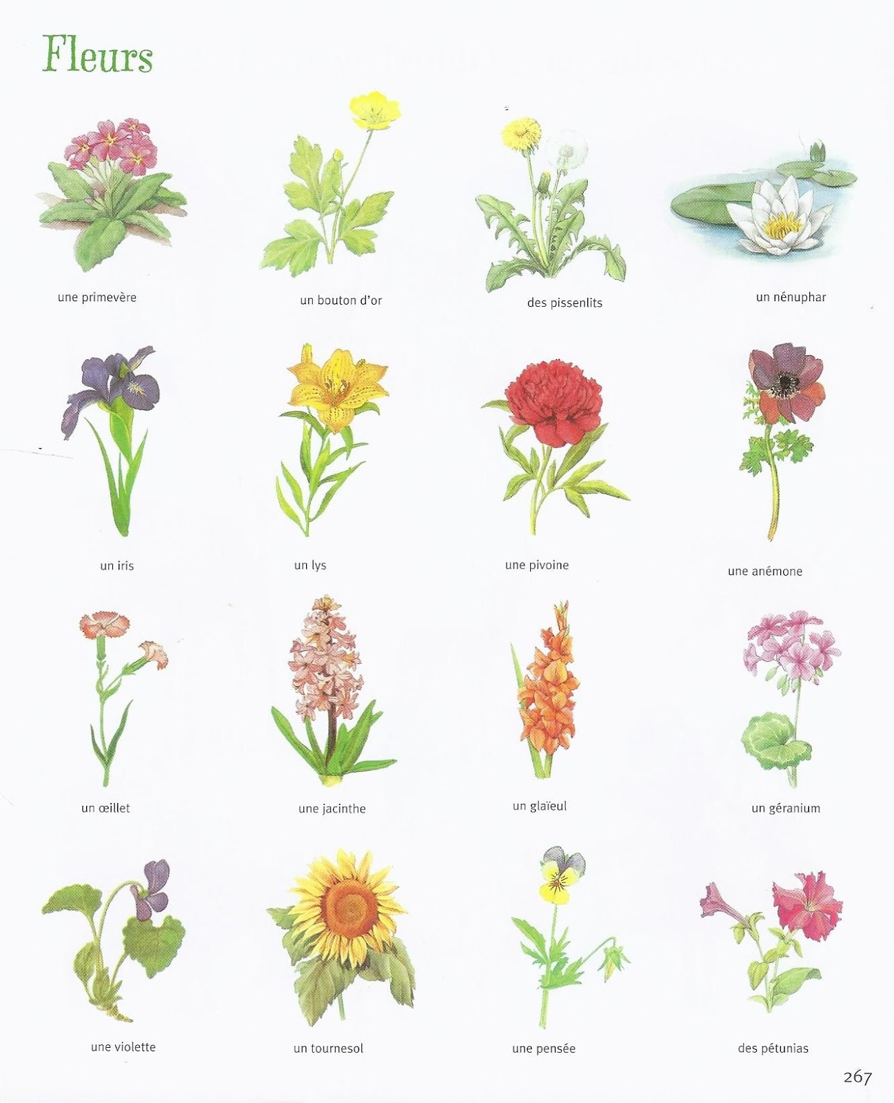 Mon enfant bilingue: Activités à faire avec un enfant pour enrichir son ...