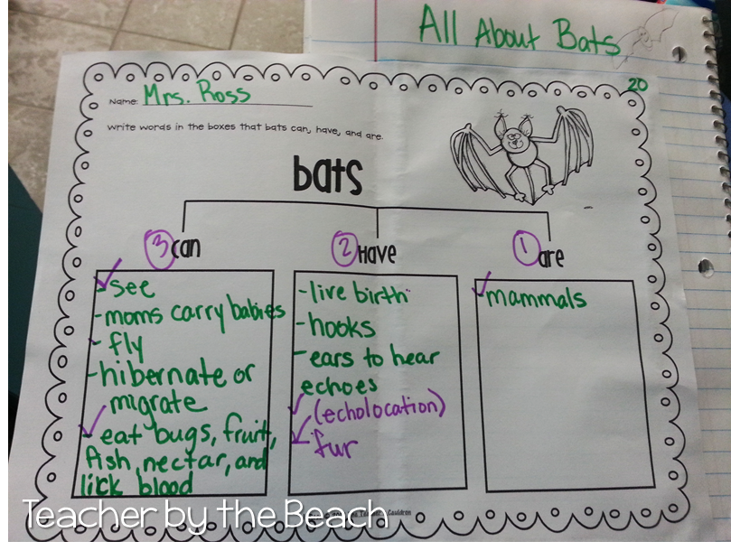 Planning for Bat Week - Teacher by the Beach