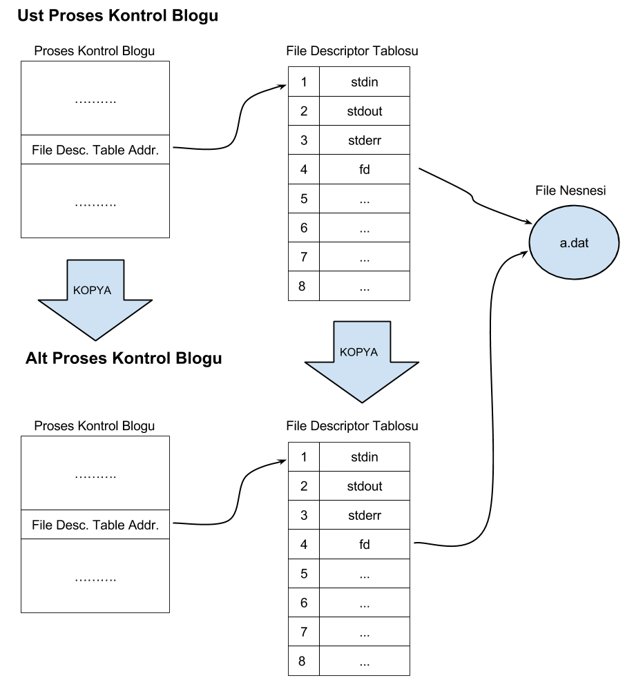 Cihat YILDIZ: Linux Sistem Programlama - Bölüm 6