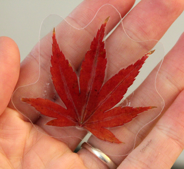 Filth Wizardry Laminated Autumn Leaf Magnets filth-wizardry-laminated-autumn-leaf-magnets