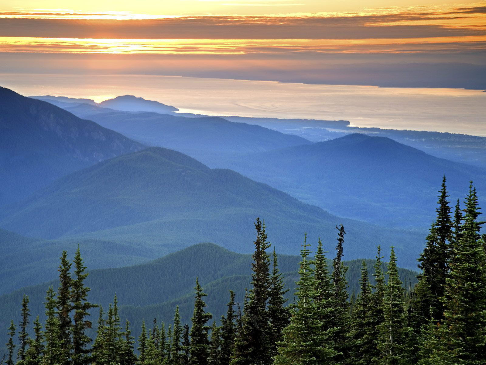 Wallpaper Olympic National Park Wallpapers wallpaper-olympic-national-park-wallpapers