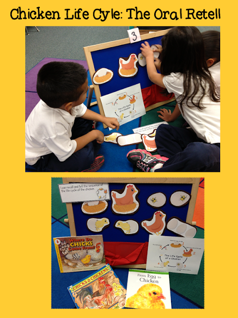 Chicken Life Cycle: The Oral Retell.... they are getting good! - Little ...