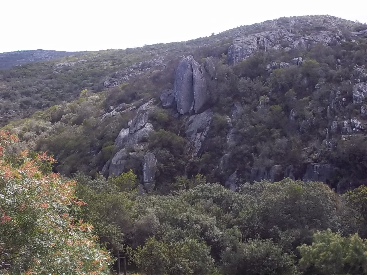 Preservemos el Monte Serrano : octubre 2012