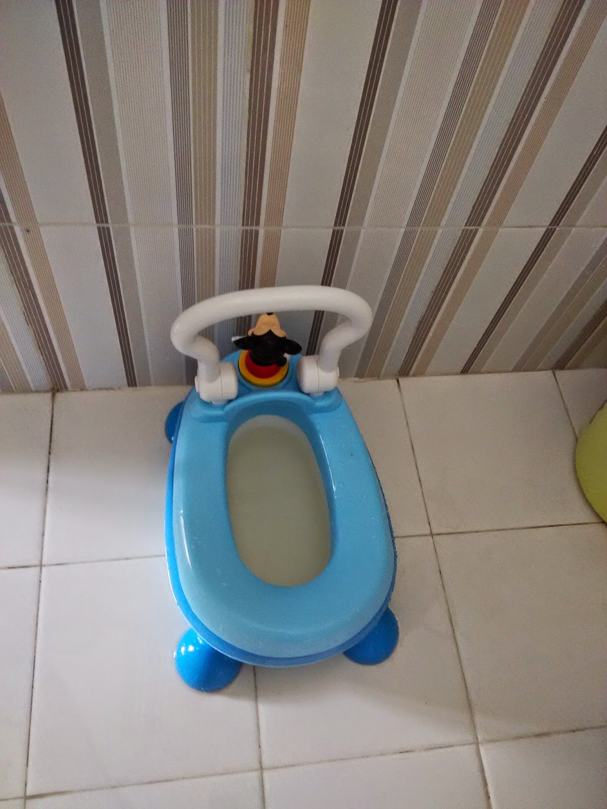Taman Bermain Anak Indonesia: Toilet Training bagi Anak Usia Dini Taman Bermain Anak Indonesia: Toilet Training bagi Anak Usia Dini
