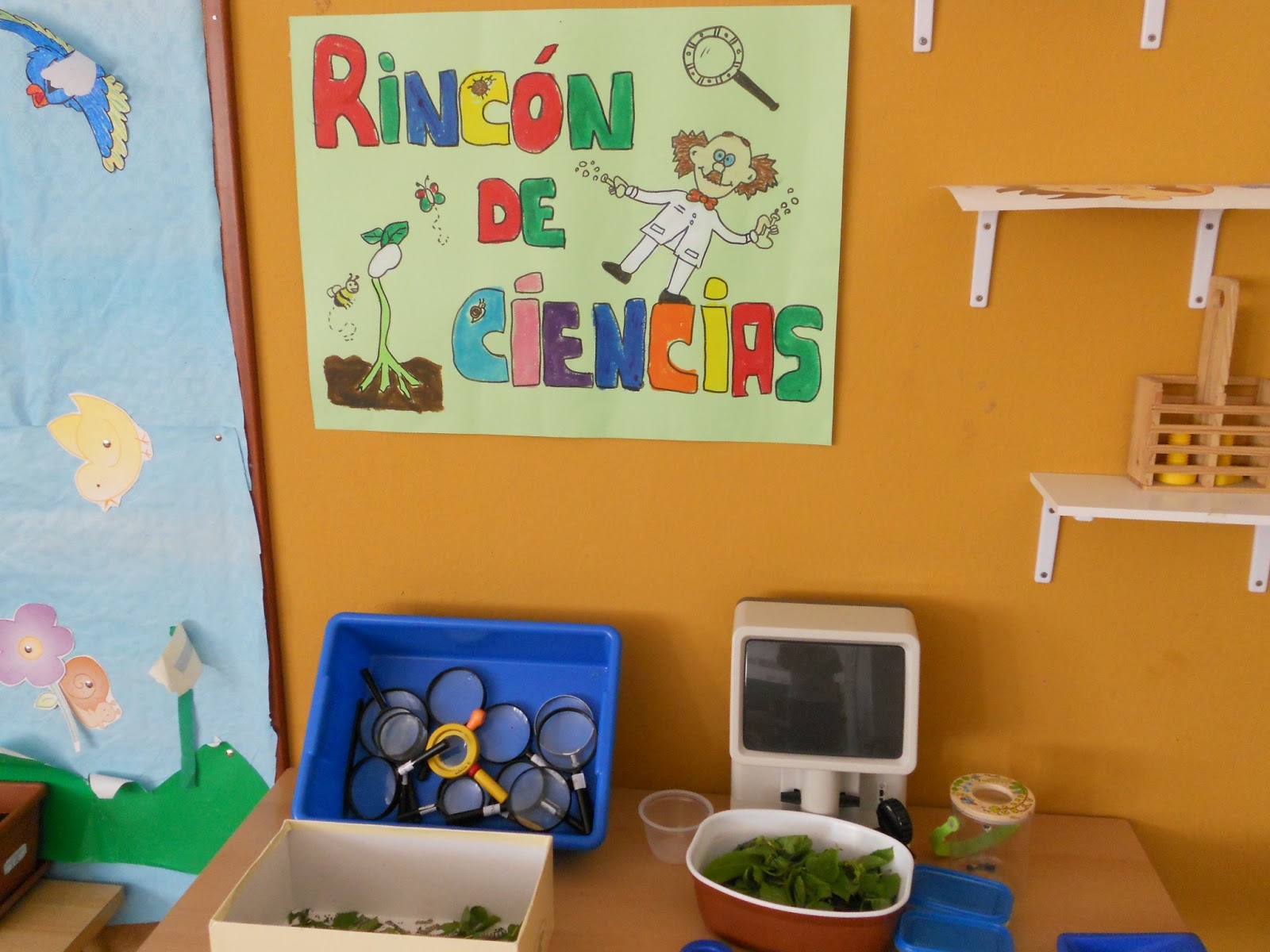 Duendes Mágicos: RINCÓN DE CIENCIAS