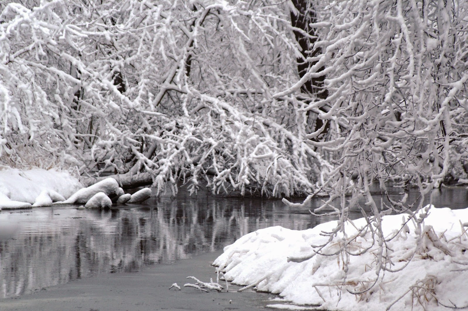 Beautiful Living 10 Things To Do In January beautiful-living-10-things-to-do-in-january