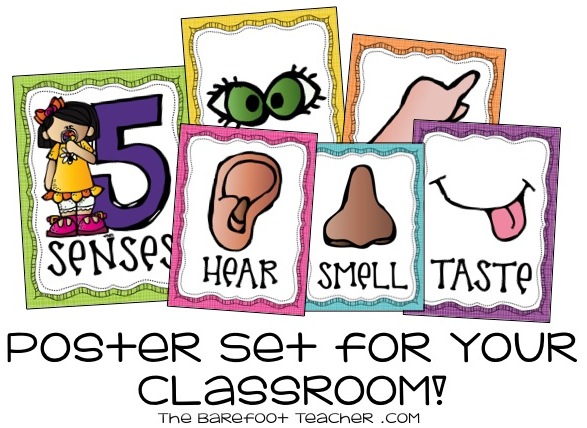 Science Interactive Notebooks The Five Senses | The Barefoot Teacher