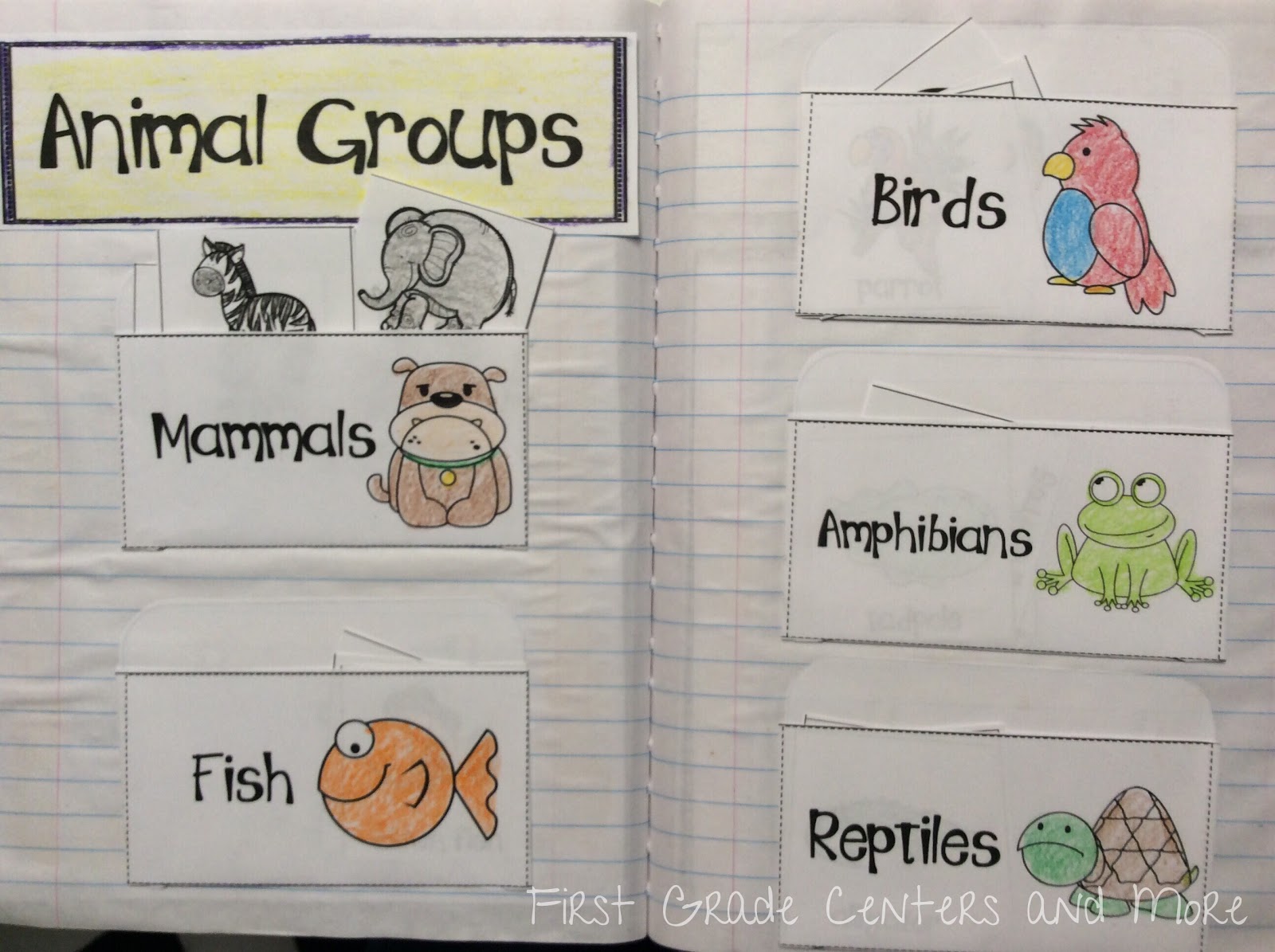 Interactive Science Notebook 1st Grade - First Grade Centers and More