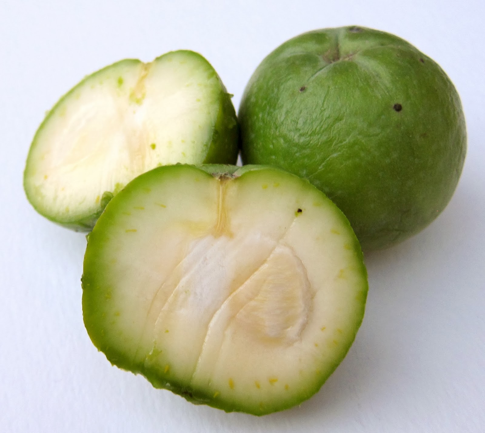 Chow with Xhico: Fruit: White Sapote Chow with Xhico: Fruit: White Sapote