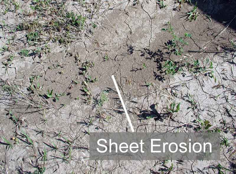 Sheet Erosion Definition Geography at Paul Morrison blog