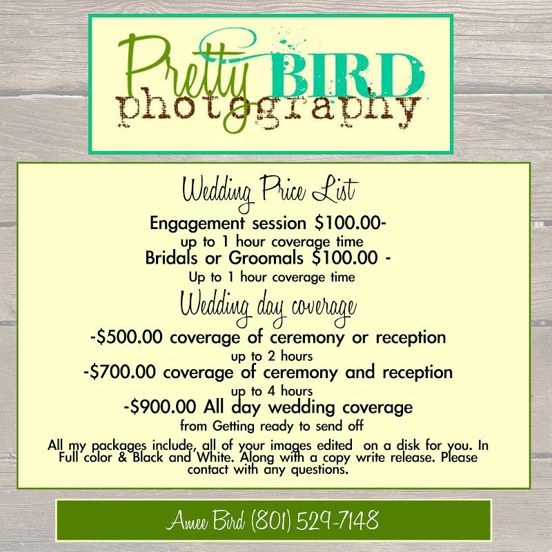 Wedding Price List Pretty Bird Photography Price List wedding-price-list-pretty-bird-photography-price-list