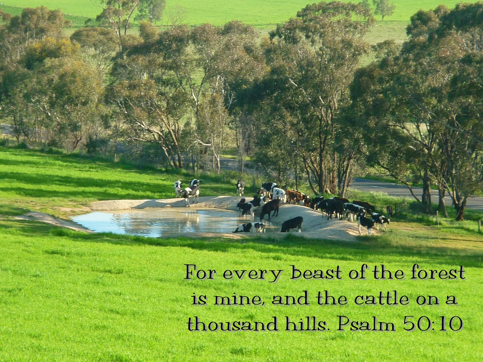 KJV Bible Wallpapers Psalm 50 10 kjv-bible-wallpapers-psalm-50-10