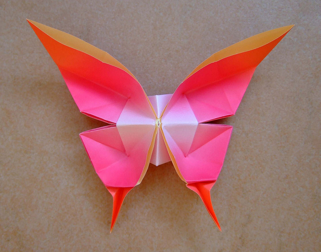 Origami Maniacs Origami Swallowtail Butterfly By Evi Binzinger origami-maniacs-origami-swallowtail-butterfly-by-evi-binzinger