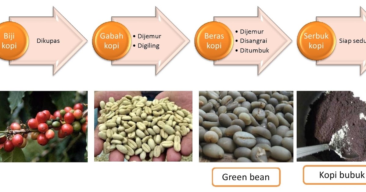 Kopi Preanger: Proses