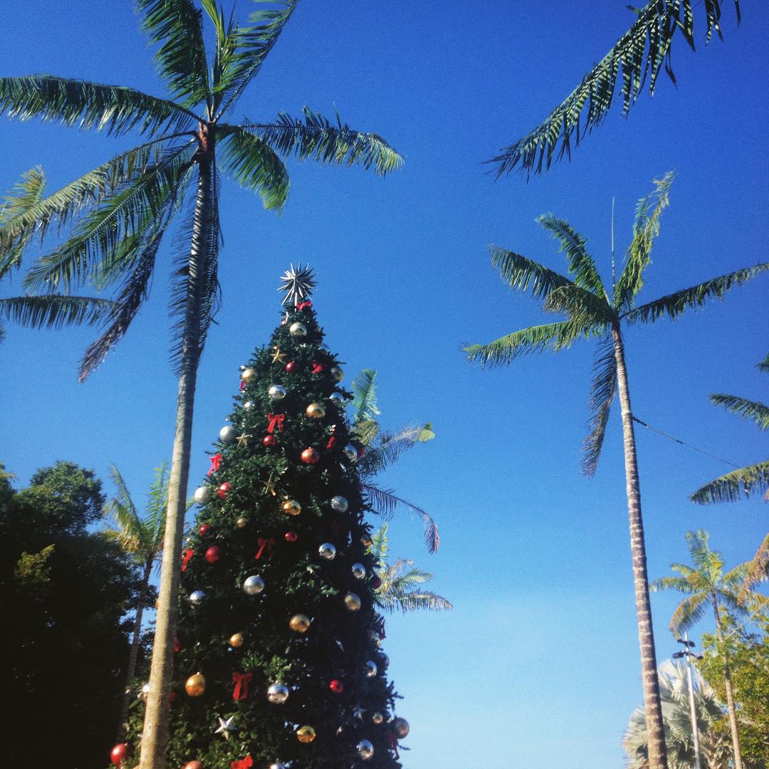 Eliza Does Oz Tis The Season IGTravelThursday eliza-does-oz-tis-the-season-igtravelthursday