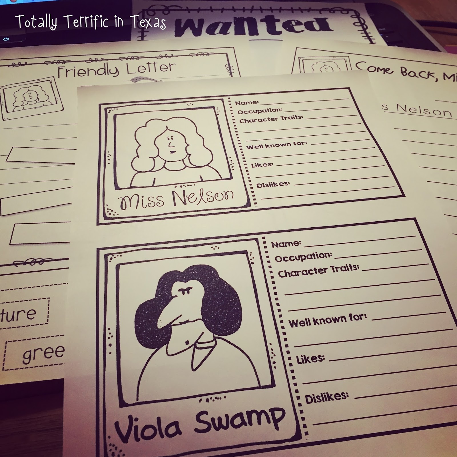 Miss Nelson Is Back Activities