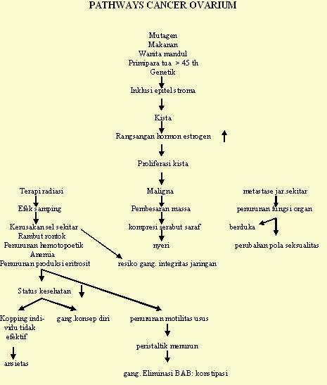 pathway kanker ovarium | METRO KAMPUS
