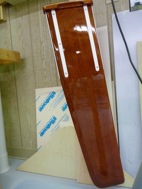 Novel idea for daggerboard re-enforcement | SailingForums.com