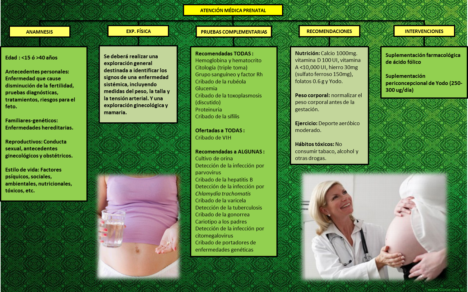 Ginecología y Obstetricia: Mapa Conceptual No.8 Atención médica prenatal