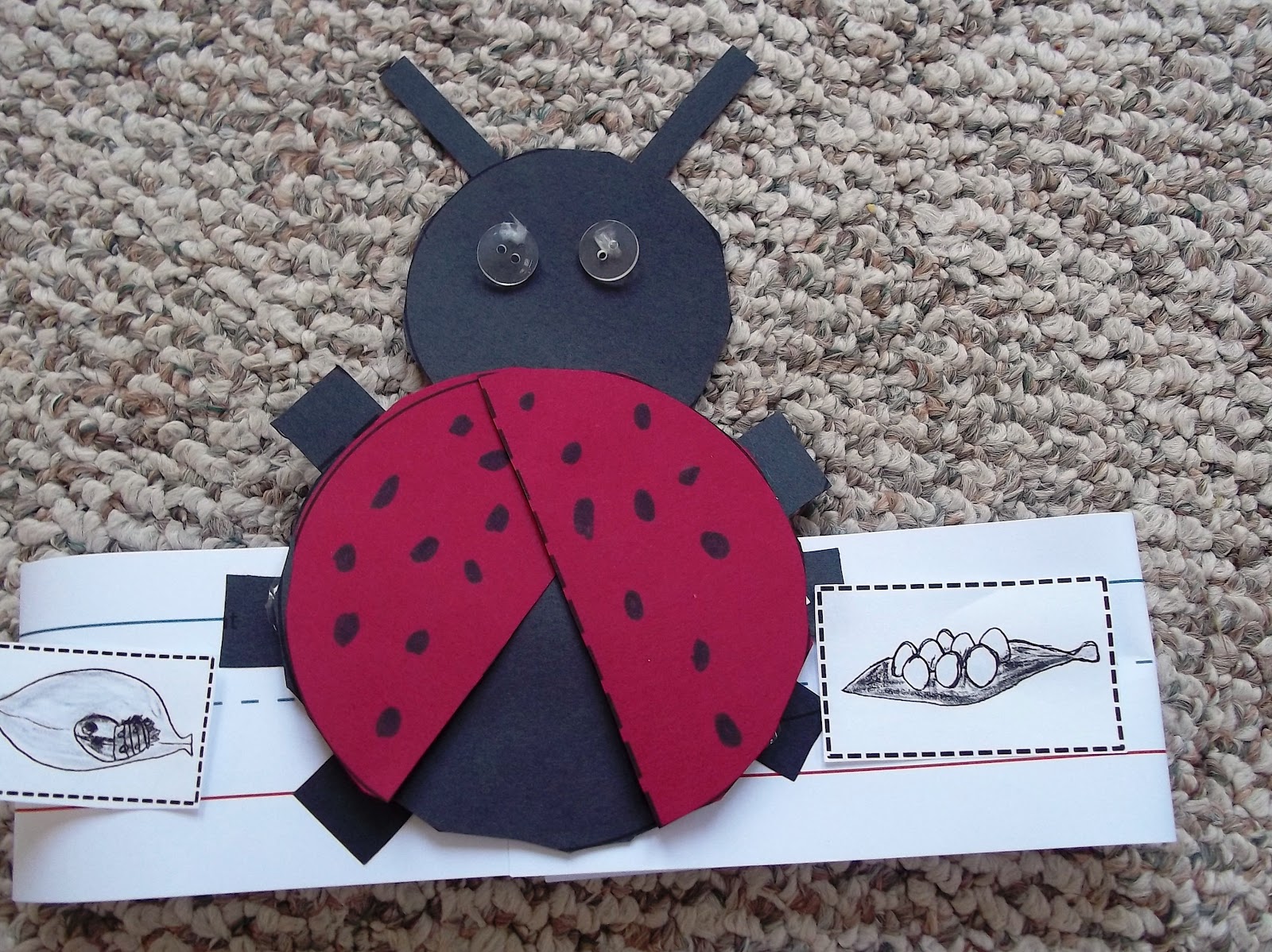 Sweet Tea Classroom: Ladybugs in the Classroom