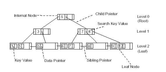SLIIT Helper: B+ Tree Tutorial SLIIT Helper: B+ Tree Tutorial