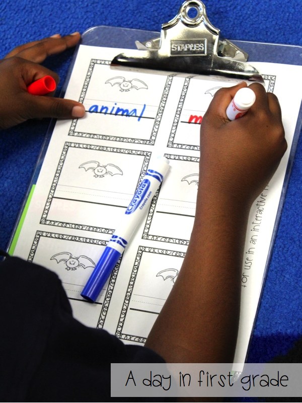 Sight words in an interactive notebook {freebie!!} | A day in first ...