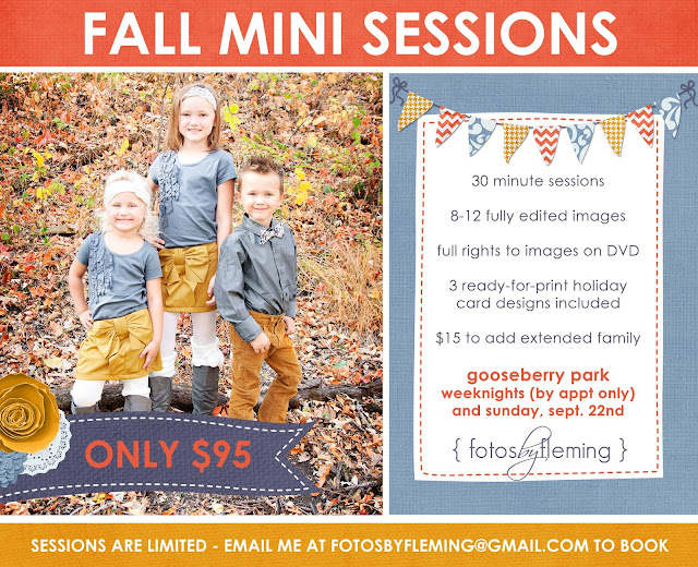 FotosByFleming Make Your Own Color Palette fotosbyfleming-make-your-own-color-palette