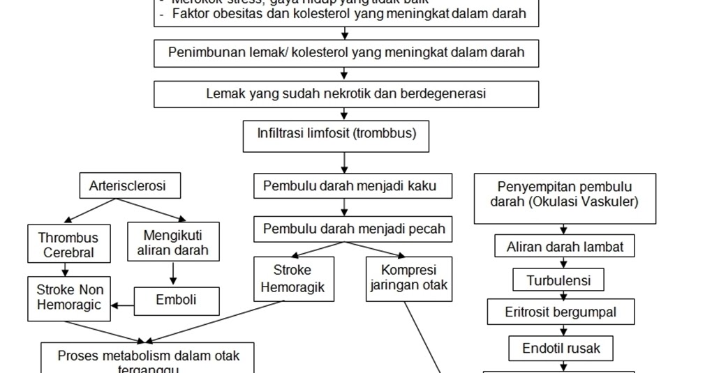 pathway stroke | keperawatan