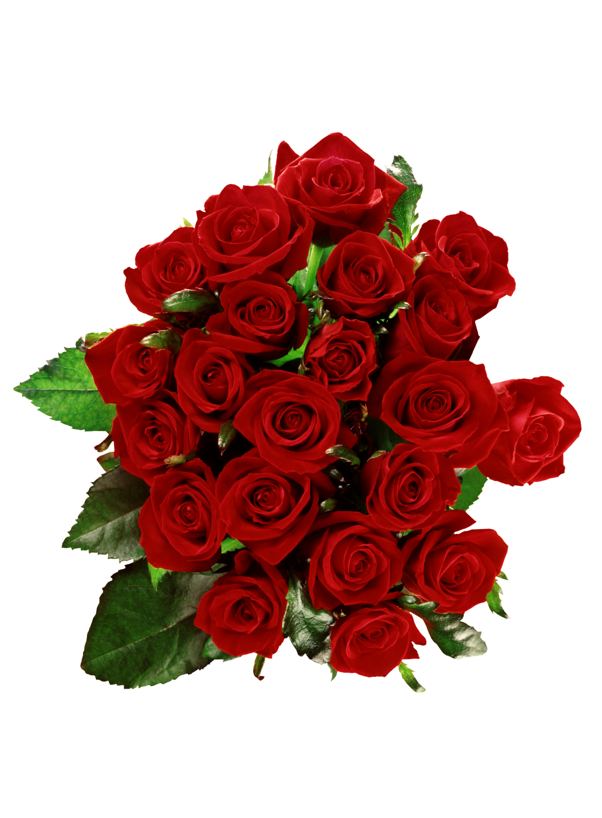 Ramos De Rosas Png Free Logo Image ramos-de-rosas-png-free-logo-image