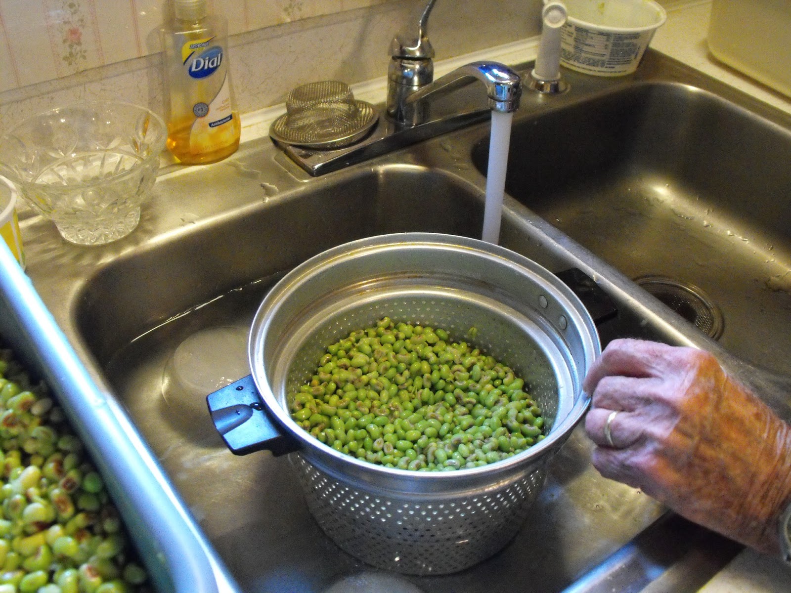 Secrets of a Southern Kitchen: How to Freeze Purple Hull Peas