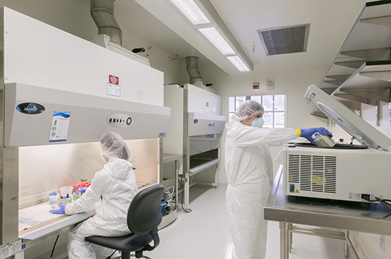 Bioseguridad BSL 3 Laboratory Practices In The United States Comparison Of Select Agent And bioseguridad-bsl-3-laboratory-practices-in-the-united-states-comparison-of-select-agent-and