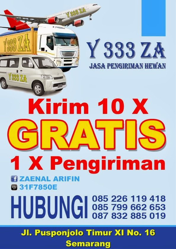 Y333ZA CARGO JASA KIRIMAN HEWAN: Tentang Kami