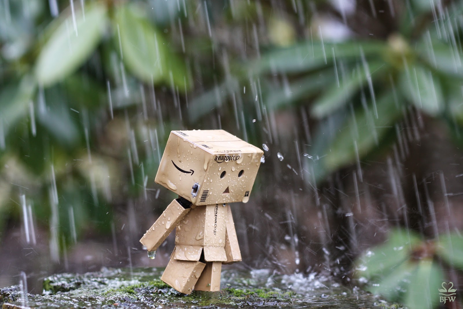 Get HD Wallpaper: Wallpaper Danbo Galau