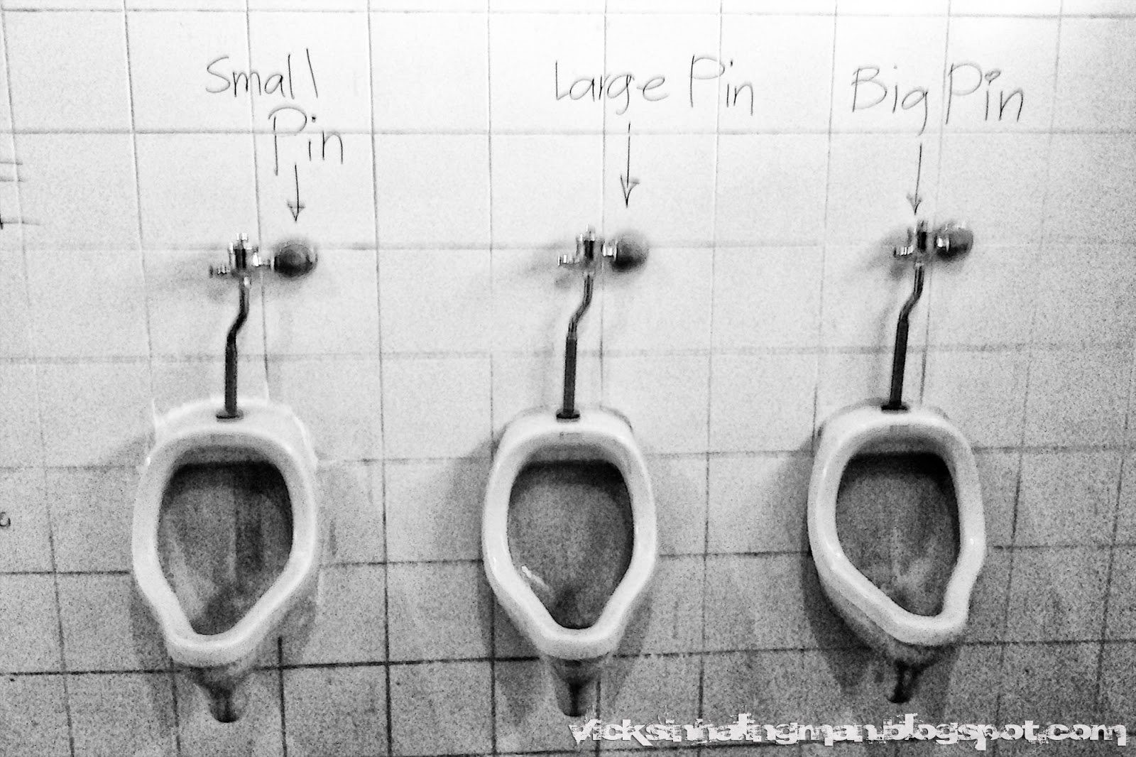 TOILET HUMOR What s A Pin toilet-humor-what-s-a-pin