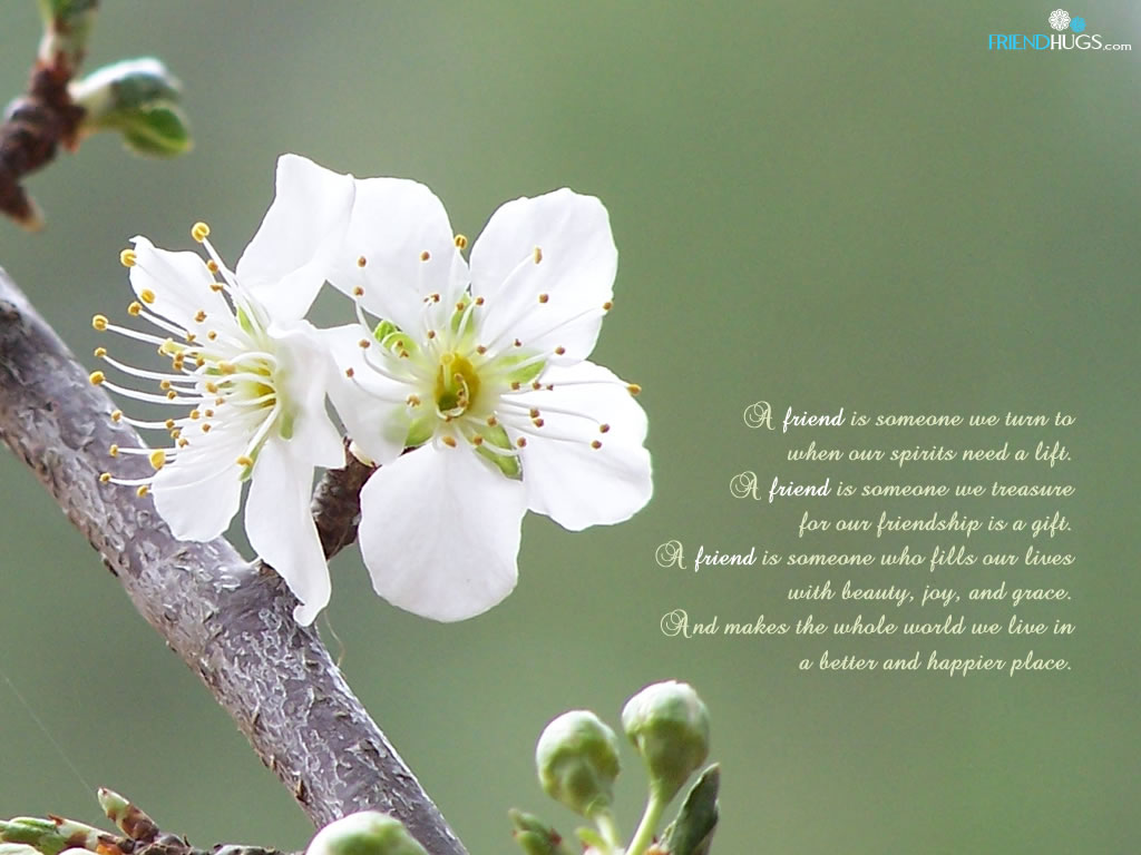 GALLERY FUNNY GAME Friendship Poem gallery-funny-game-friendship-poem