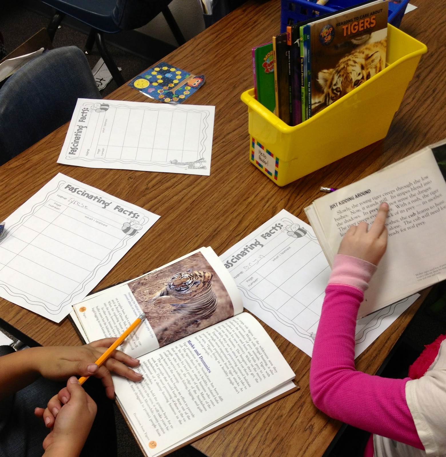 All About Books - Our Non-fiction Research Project! - Susan Jones Teaching